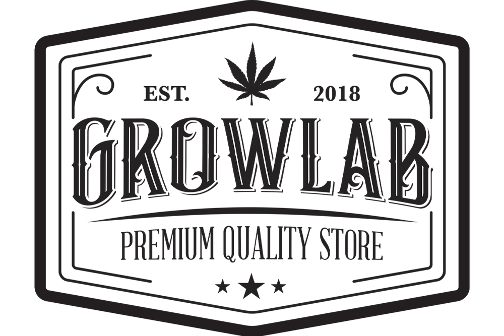 Vaporizzatore Pax Mini - Silver Grey - GrowLab